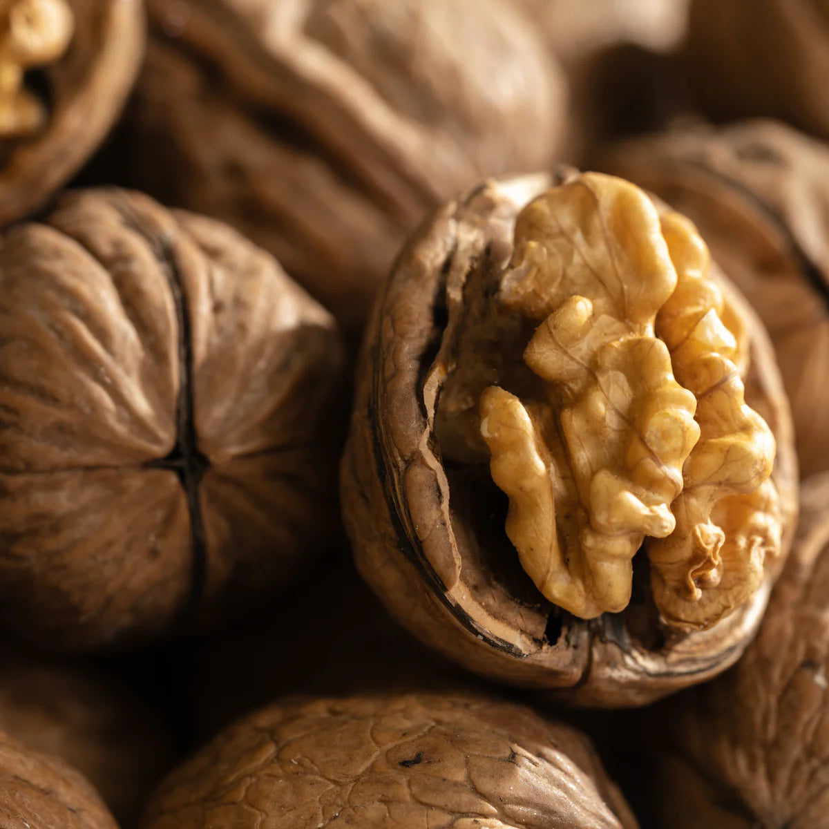 Understanding the Scent of Black Walnuts: From Trees to Table