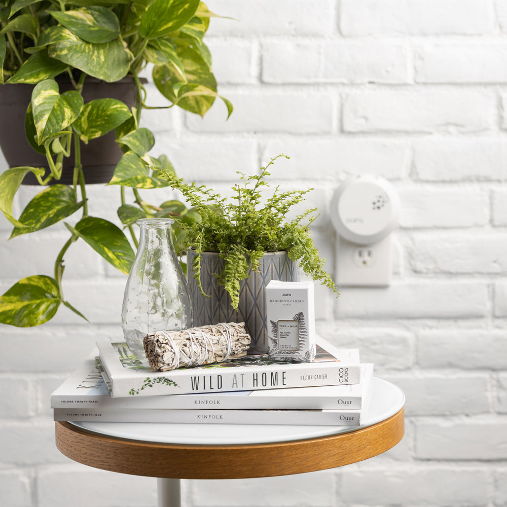 Fern + Moss Home Fragrance Diffuser Oil | Powered by Pura