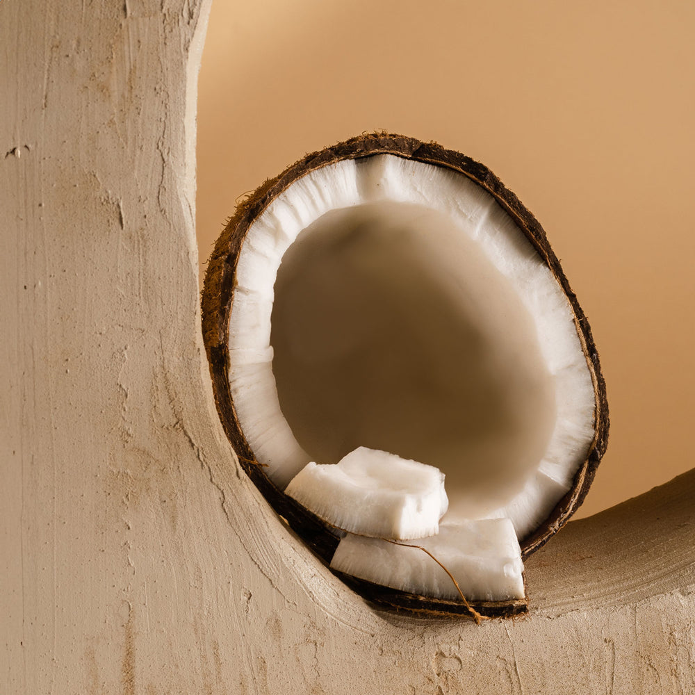 Coconut Car Fragrance Diffuser Oil | Powered by Pura