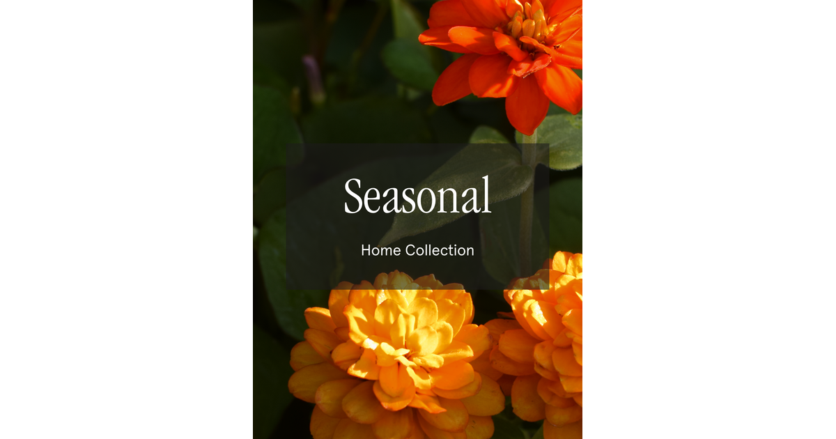 Seasonal Curated Subscription