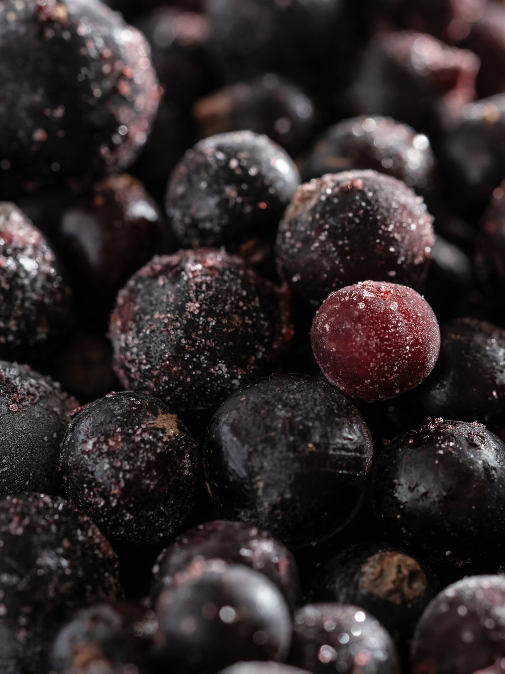 Juicy Acai Home Fragrance Diffuser Oil | Powered by Pura