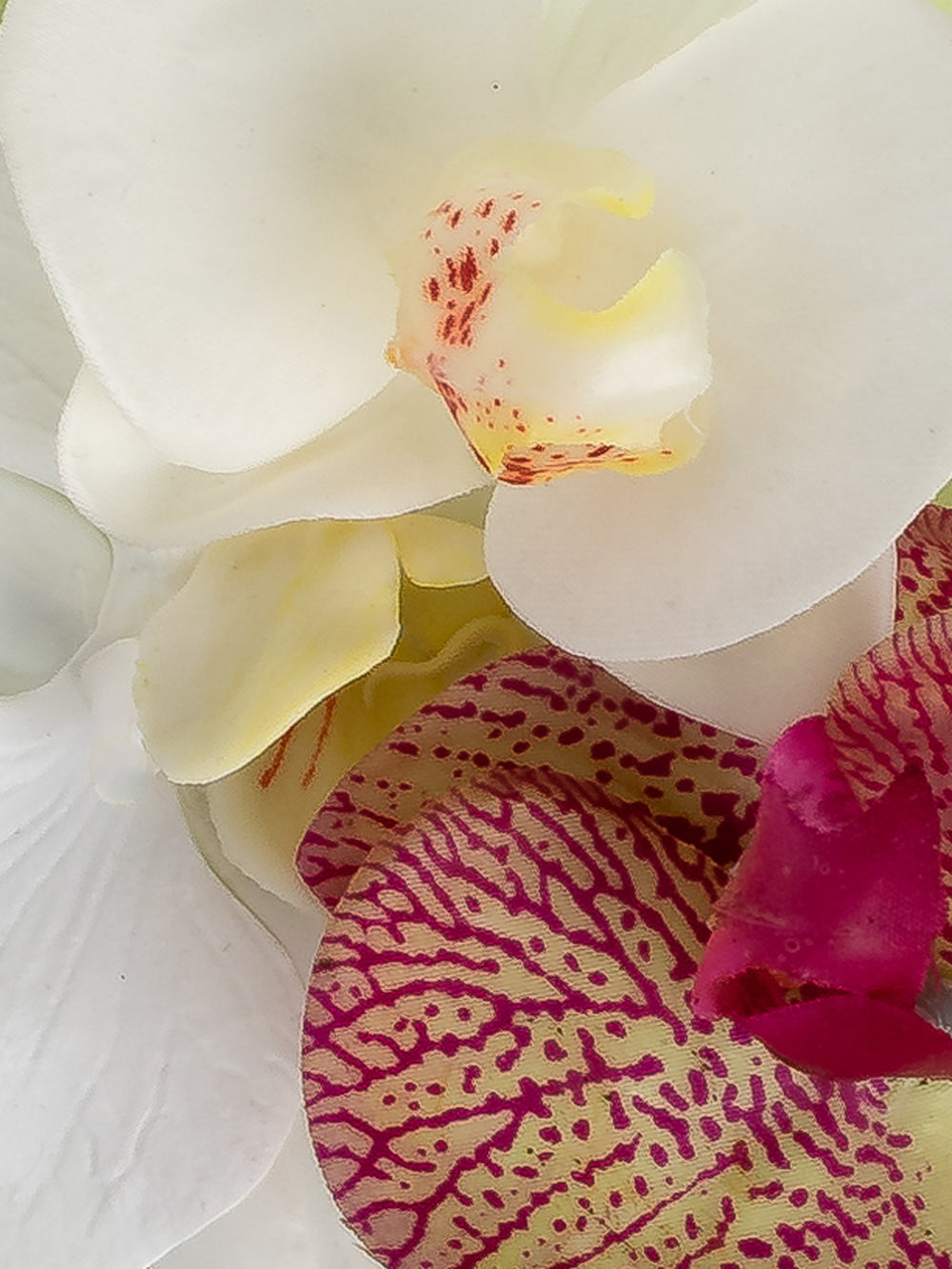 Aloha Orchid Home Fragrance Diffuser Oil | Powered by Pura