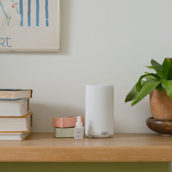 Pura Plus: The Diffuser for Large Open Spaces - Pura