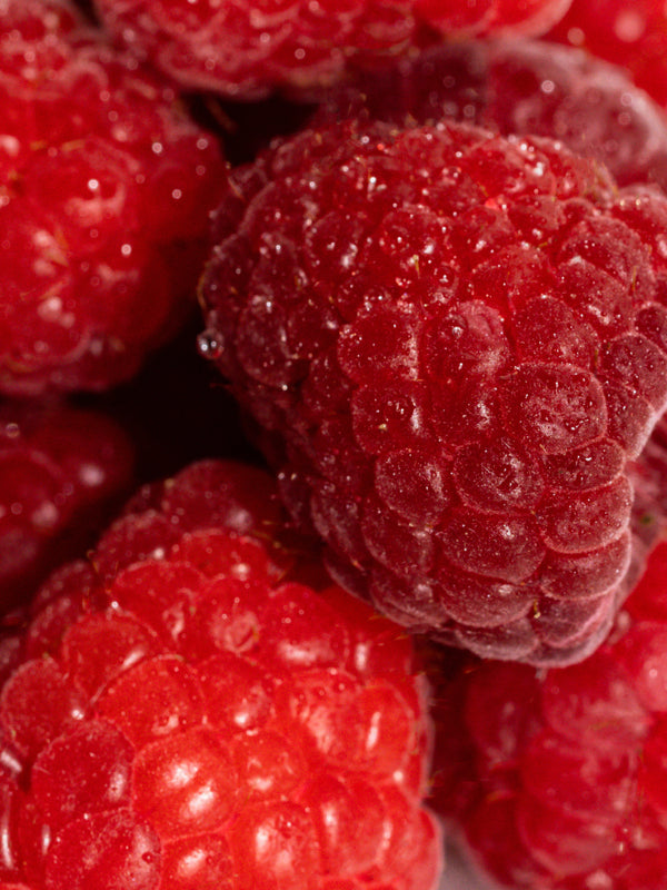 Kiss in the Rain Home Fragrance Diffuser Oil | Powered by Pura