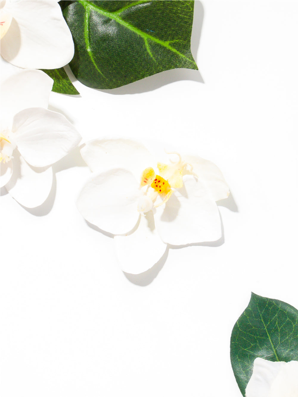 Aloha Orchid Home Fragrance Diffuser Oil | Powered by Pura